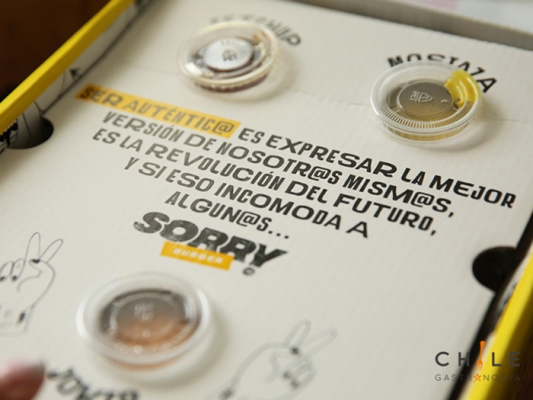 Sorry Burguer. Nueva Hamburguesería Artesanal en Santiago. Diversas ...