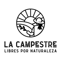 Cotiza huevos Premium Por Mayor | Huevos La Campestre