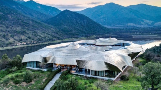 Viña Vik I Reconocimiento a Viña Vik I Mejor Viñedo Chileno y de ...